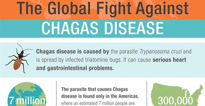 Ministry of Physical Development